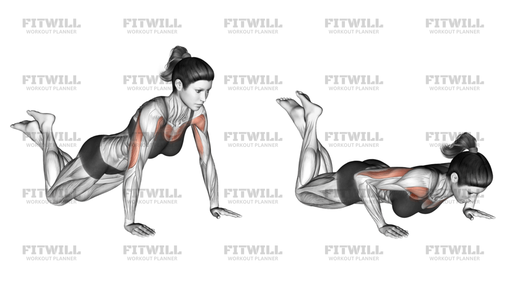 Push-up (on Knees): Exercise Guide, Video, Techniques, Benefits, How to ...