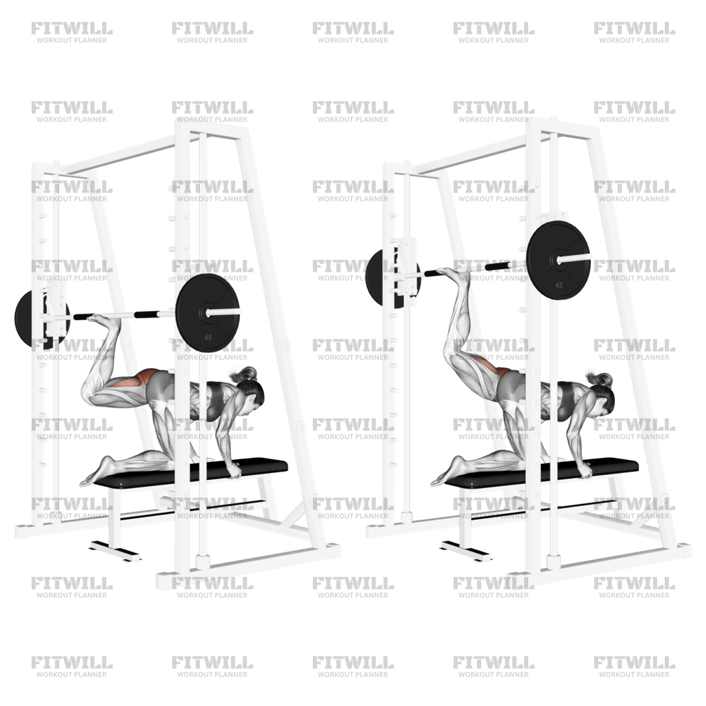 Smith Kneeling Rear Kick: Exercise Guide, Video, Techniques, Benefits ...