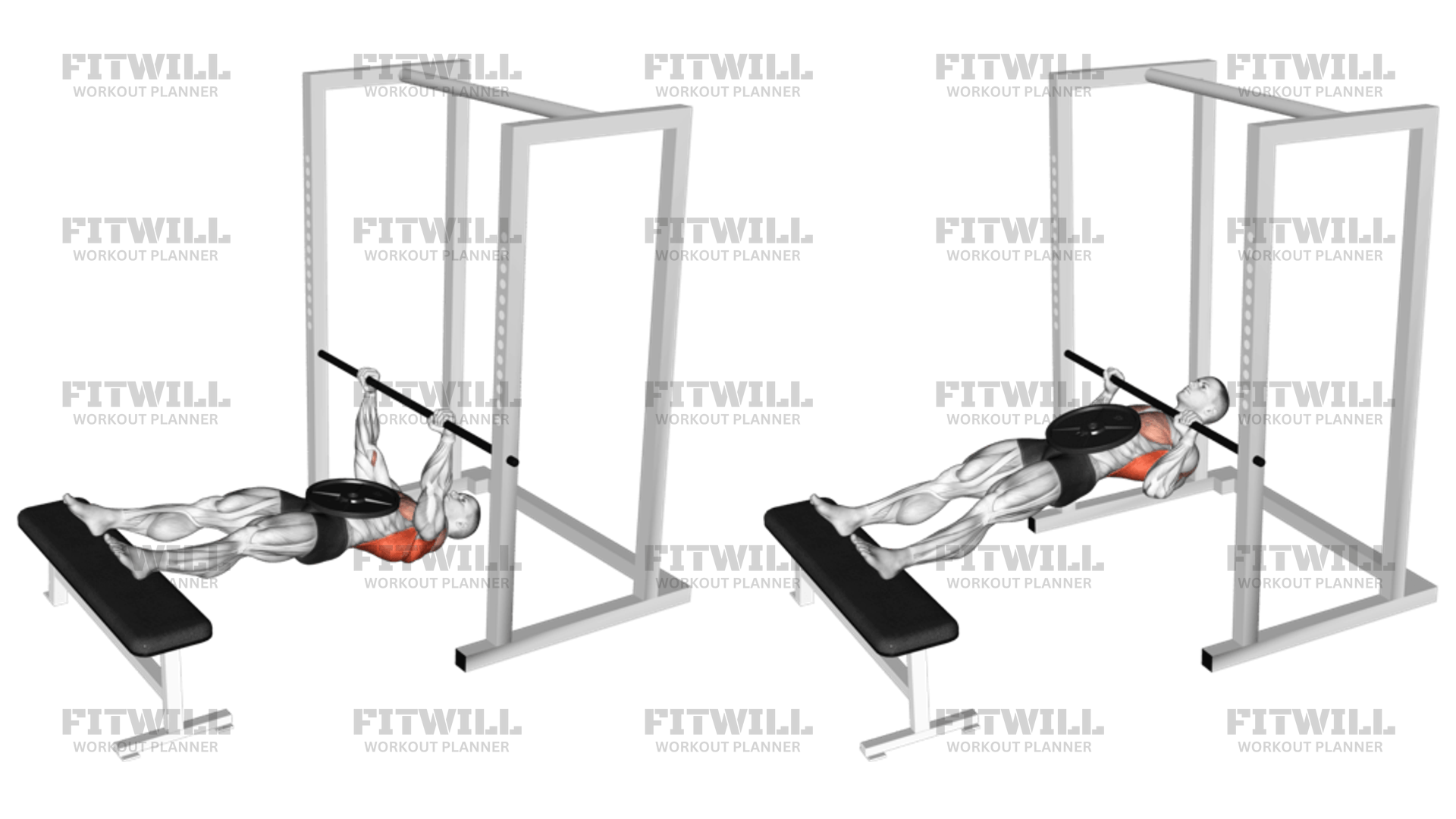 Weighted Inverted Row: Exercise Guide, Video, Techniques, Benefits, How to, Muscles Worked, Tips ...
