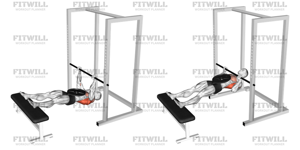 Weighted Inverted Row: Exercise Guide, Video, Techniques, Benefits, How ...