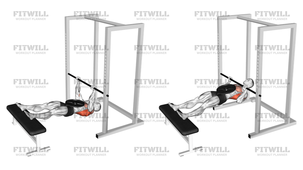 Weighted Inverted Row: Exercise Guide, Video, Techniques, Benefits, How ...