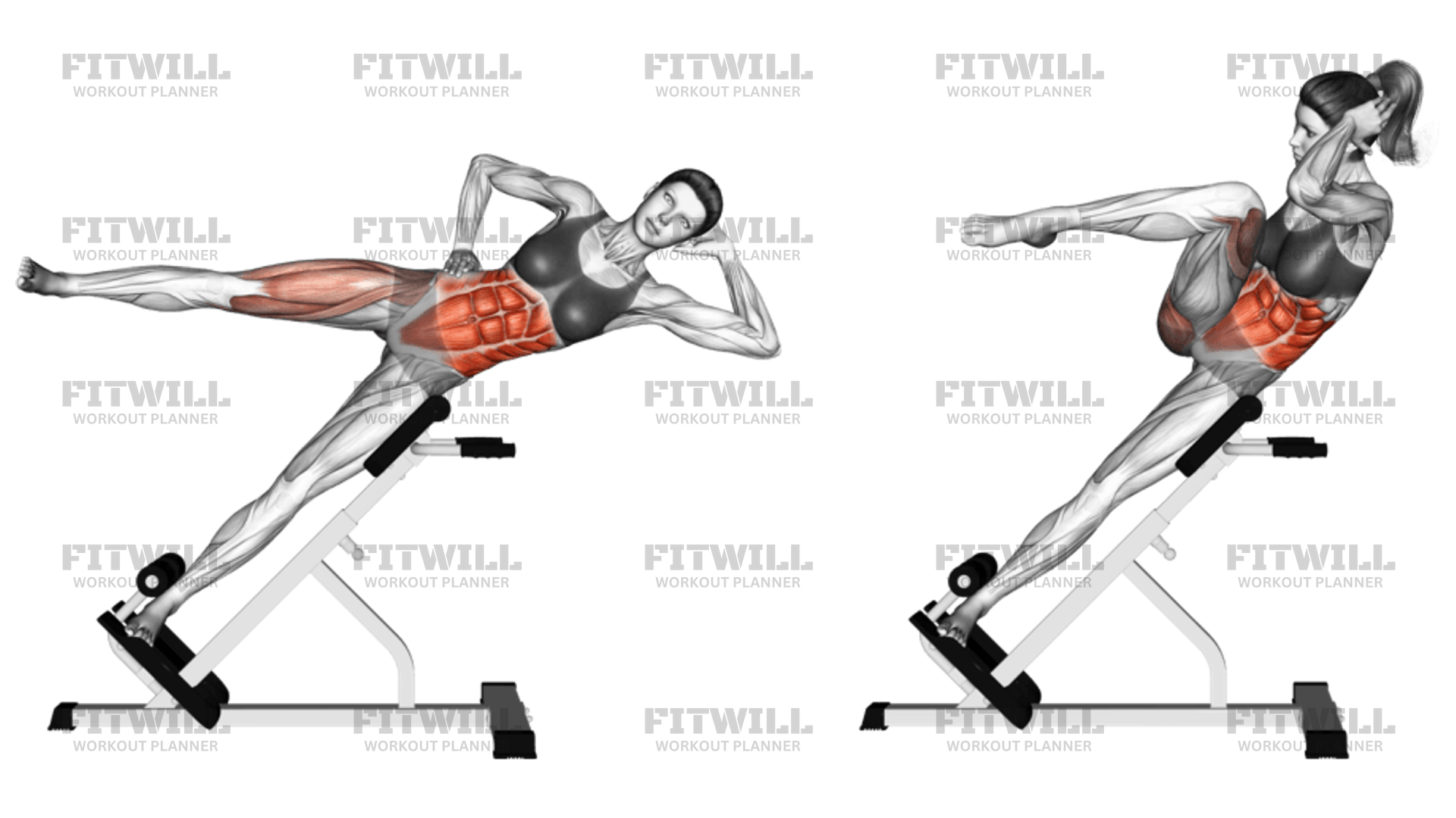 Roman Chair 45 Degree Bicycle Twisting Crunch: Exercise Guide, Video ...