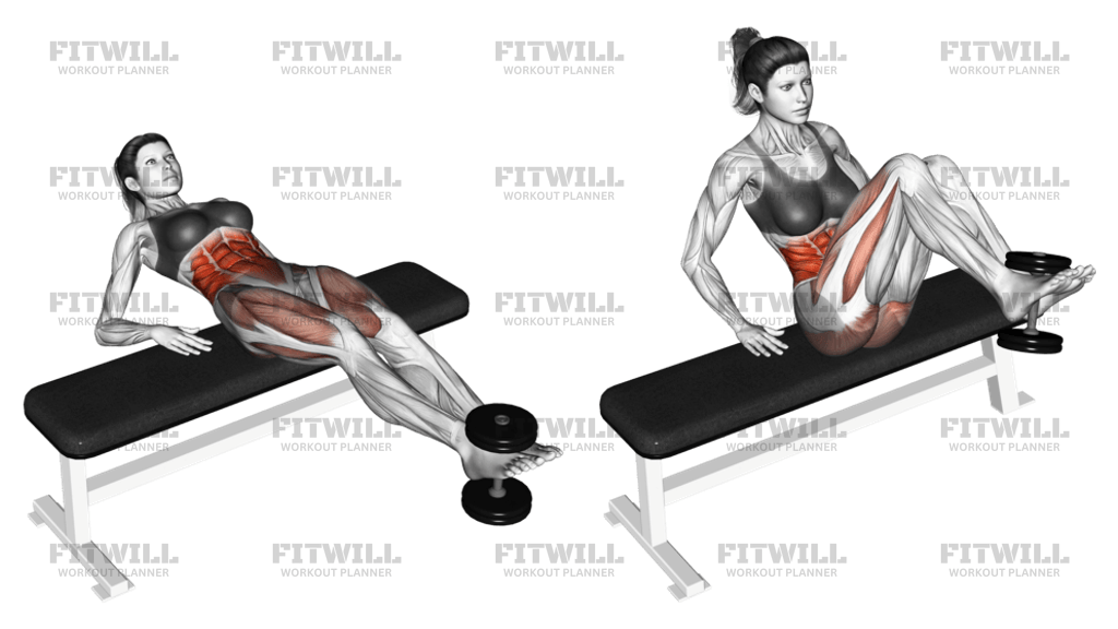 Weighted Twisting Crunch On Bench: Exercise Guide, Video, Techniques ...