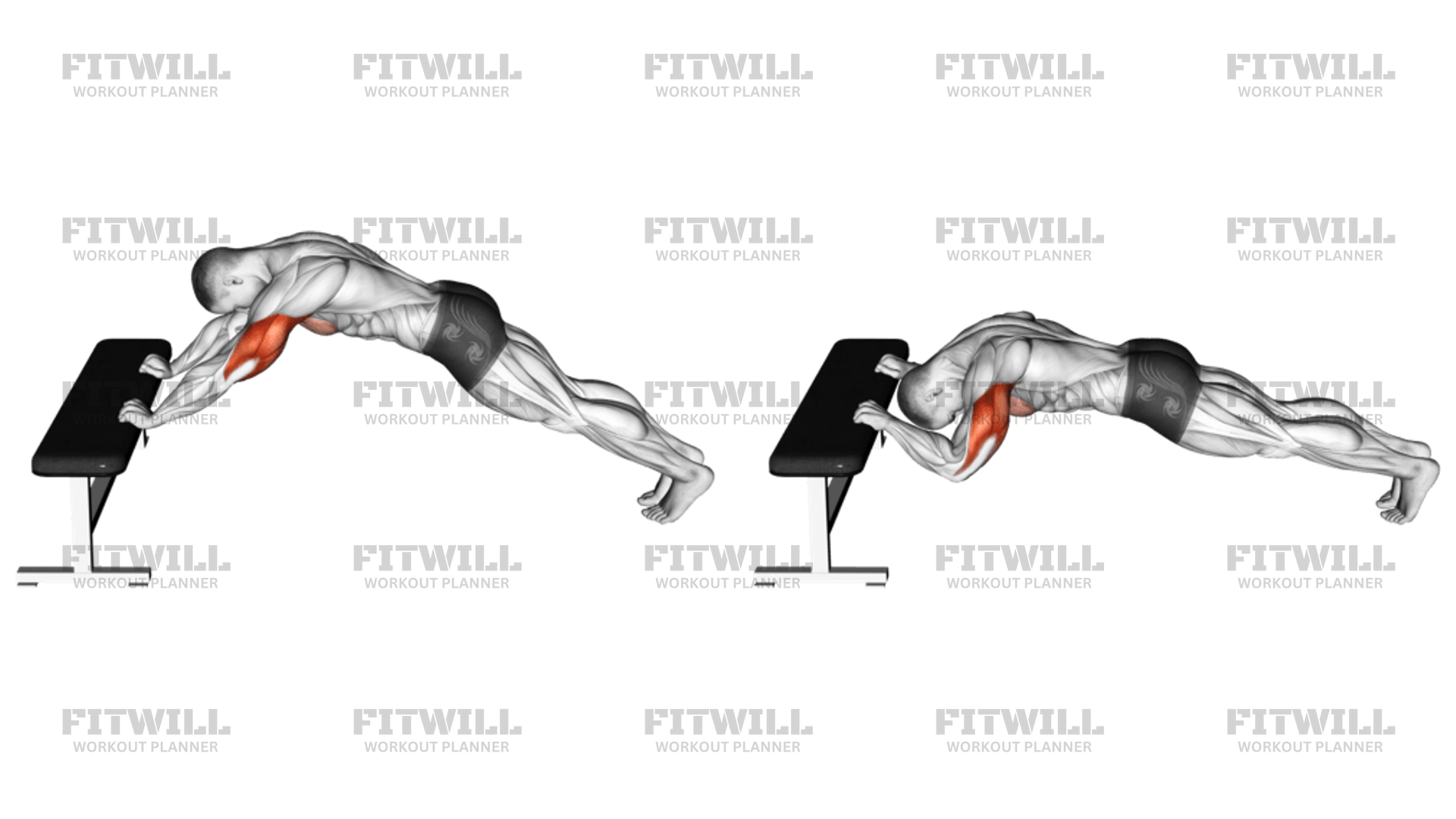 Triceps Press (Head Below Bench): Exercise Guide, Video, Techniques ...