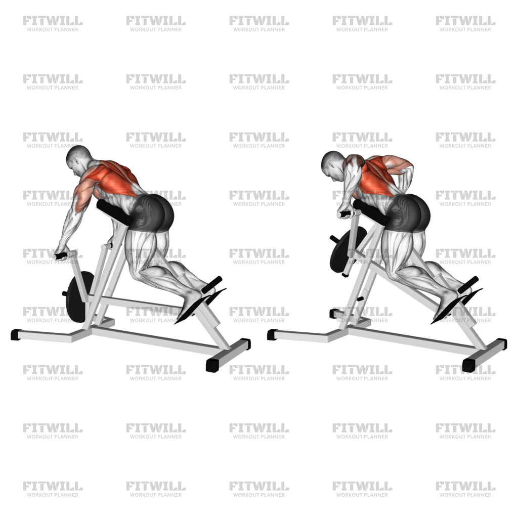 Lever Lying T-Bar Row: Exercise Guide, Video, Techniques, Benefits, How ...