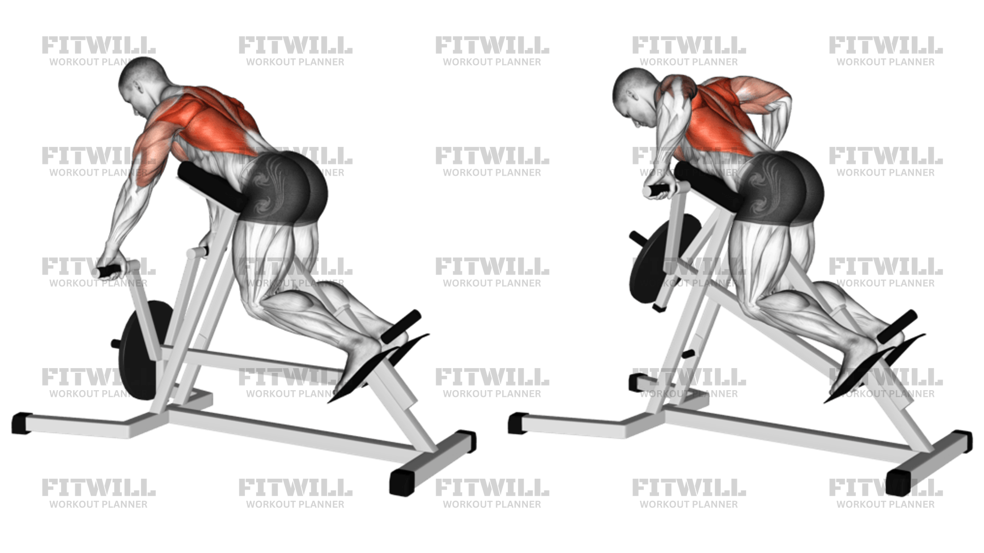 Lever Lying T-Bar Row: Exercise Guide, Video, Techniques, Benefits, How ...