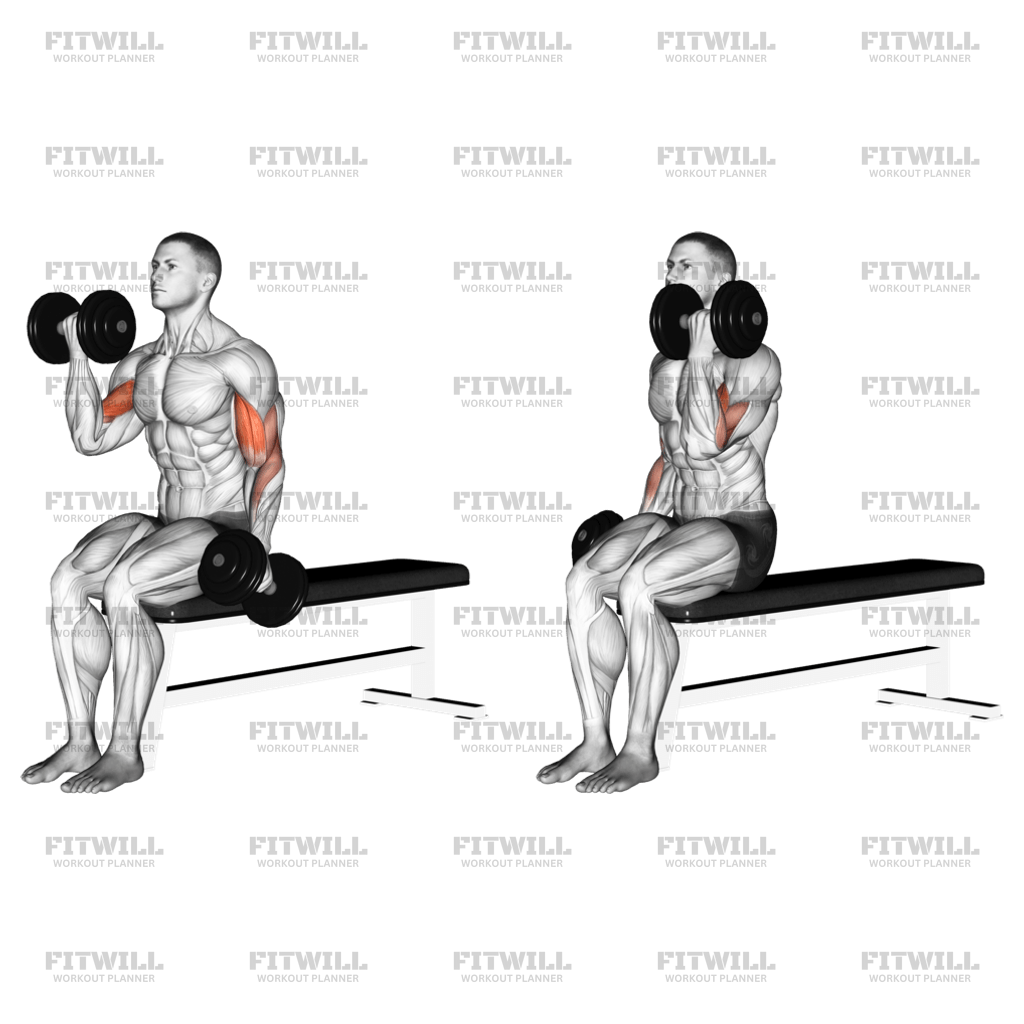 Dumbbell Alternate Biceps Curl: Exercise Video | Fitwill