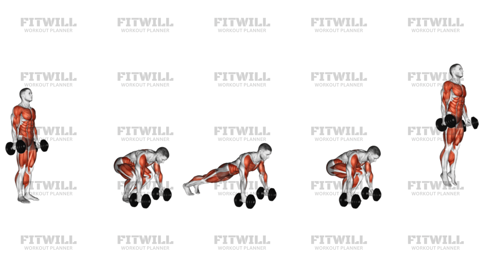 Burpee Con Mancuernas: Guía de Ejercicios, Video, Técnicas, Beneficios ...