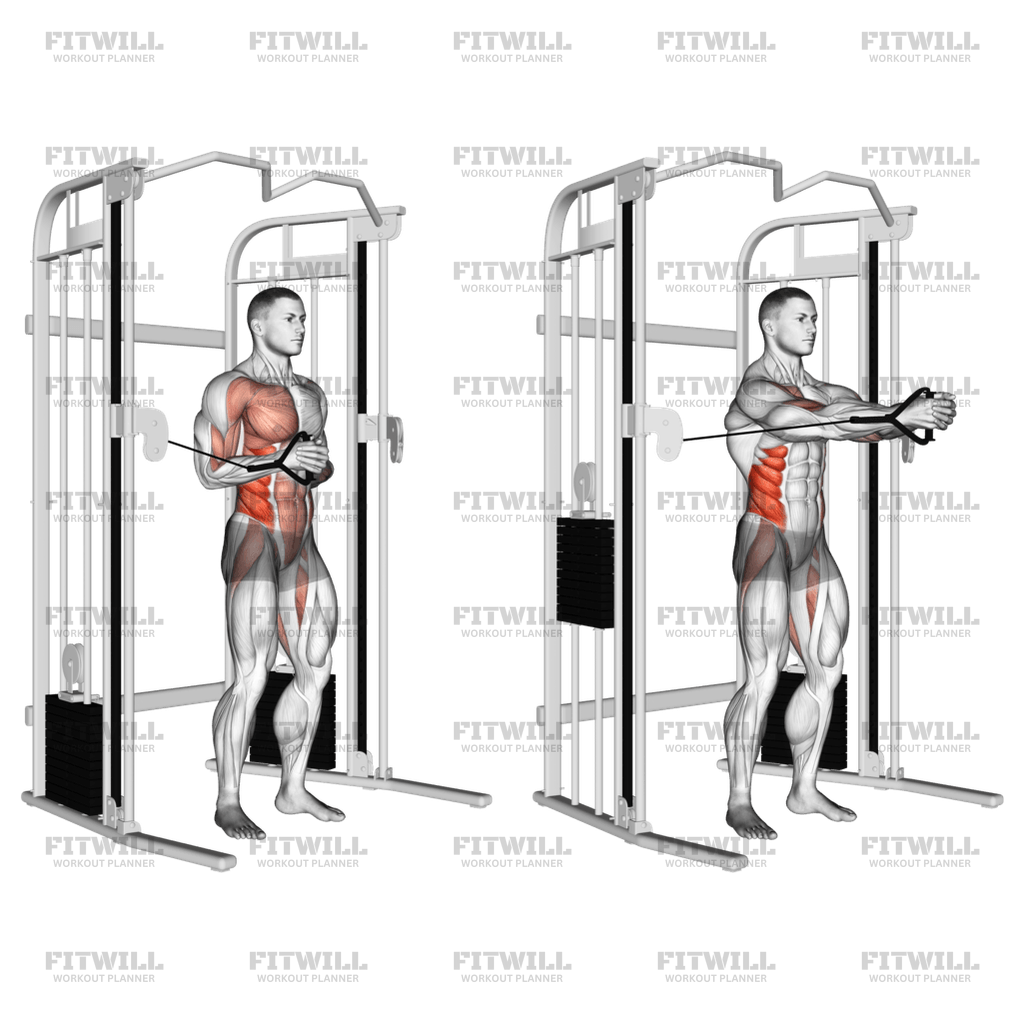 Cable Horizontal Pallof Press: Exercise Guide, Video, Techniques ...