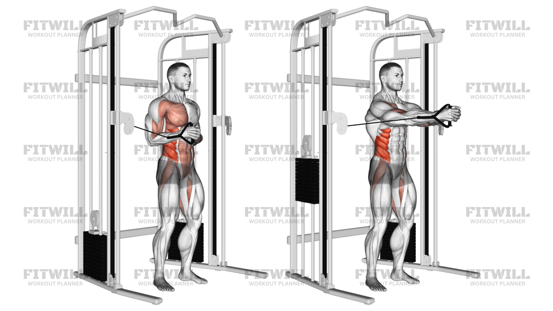 Cable Horizontal Pallof Press: Exercise Guide, Video, Techniques ...