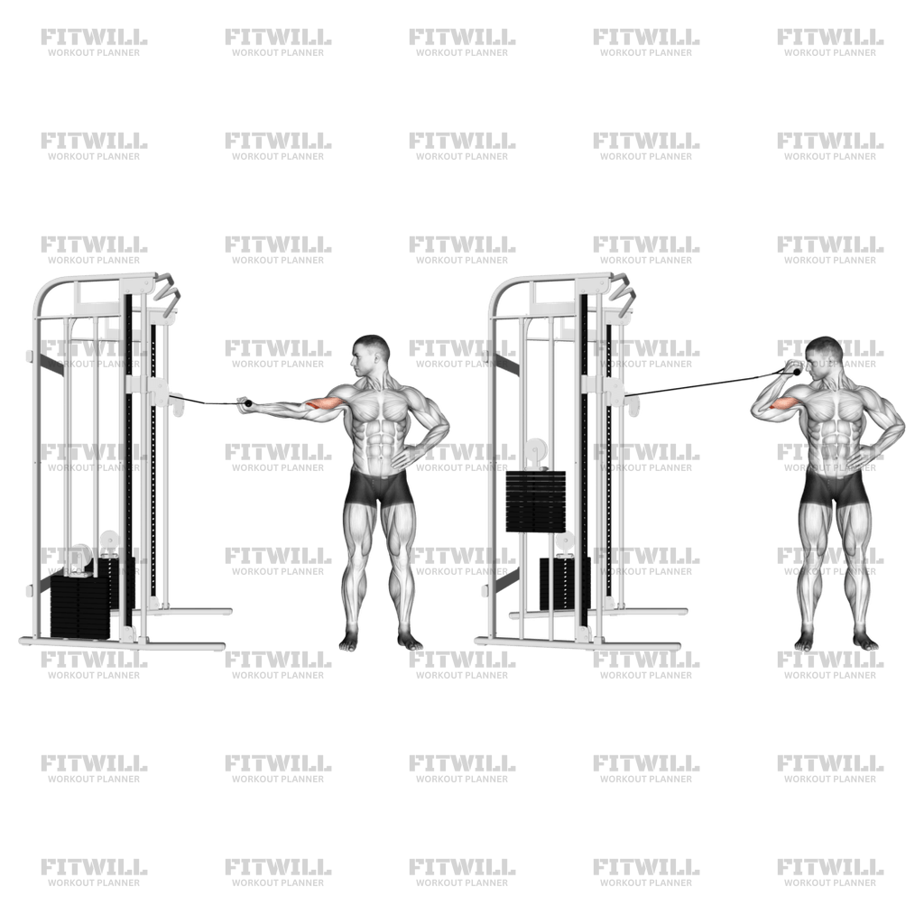 One Arm Inner Biceps Cable Curl: Exercise Guide, Video, Techniques ...
