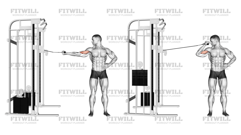 One Arm Inner Biceps Cable Curl: Exercise Guide, Video, Techniques ...