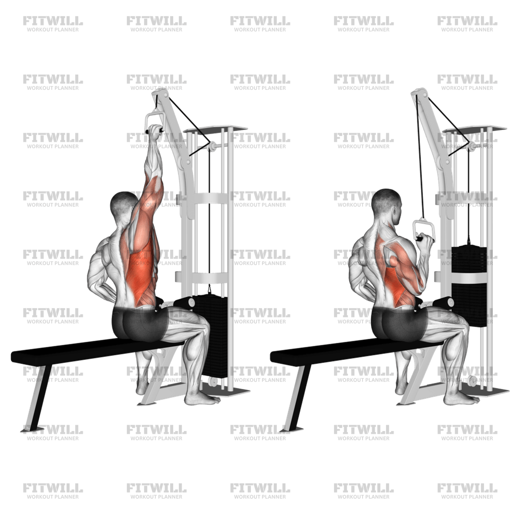 Cable One Arm Lat Pulldown (R): Exercise Guide, Video, Techniques ...