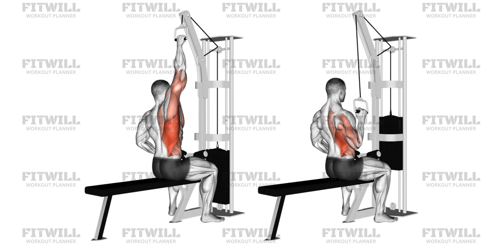 Cable One-Arm Lat Pulldown Right Side: Exercise Guide, Video ...