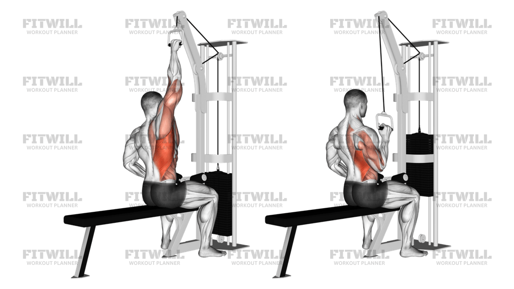 Cable One Arm Lat Pulldown (R): Exercise Guide, Video, Techniques ...