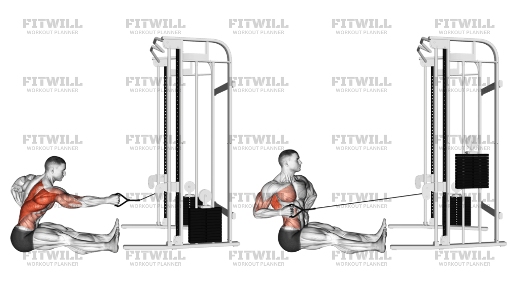 Cable One Arm Twisting Seated Row: Exercise Guide, Video, Techniques ...