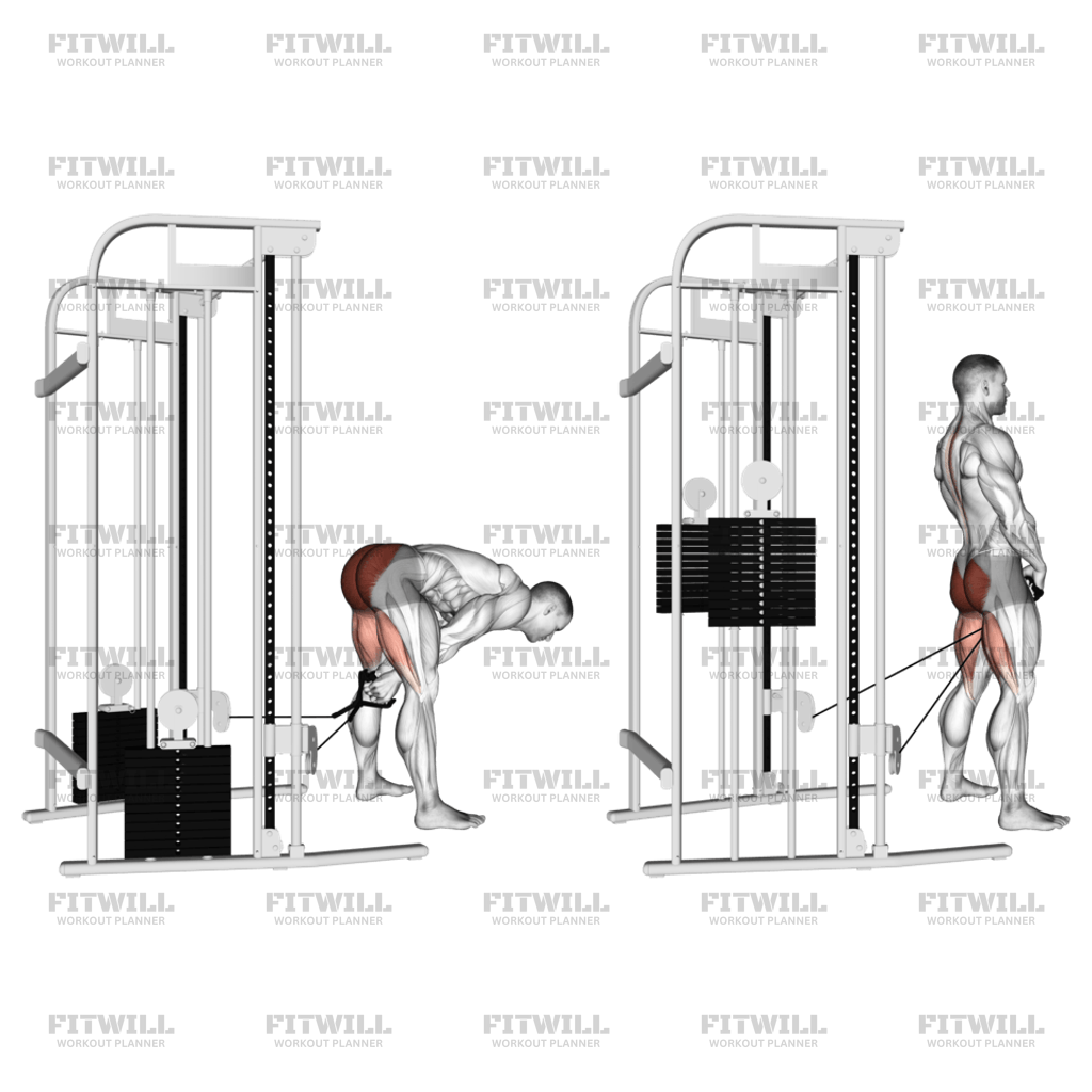 Cable pull through: Guide, Techniques, Benefits, How to, Muscles Worked ...