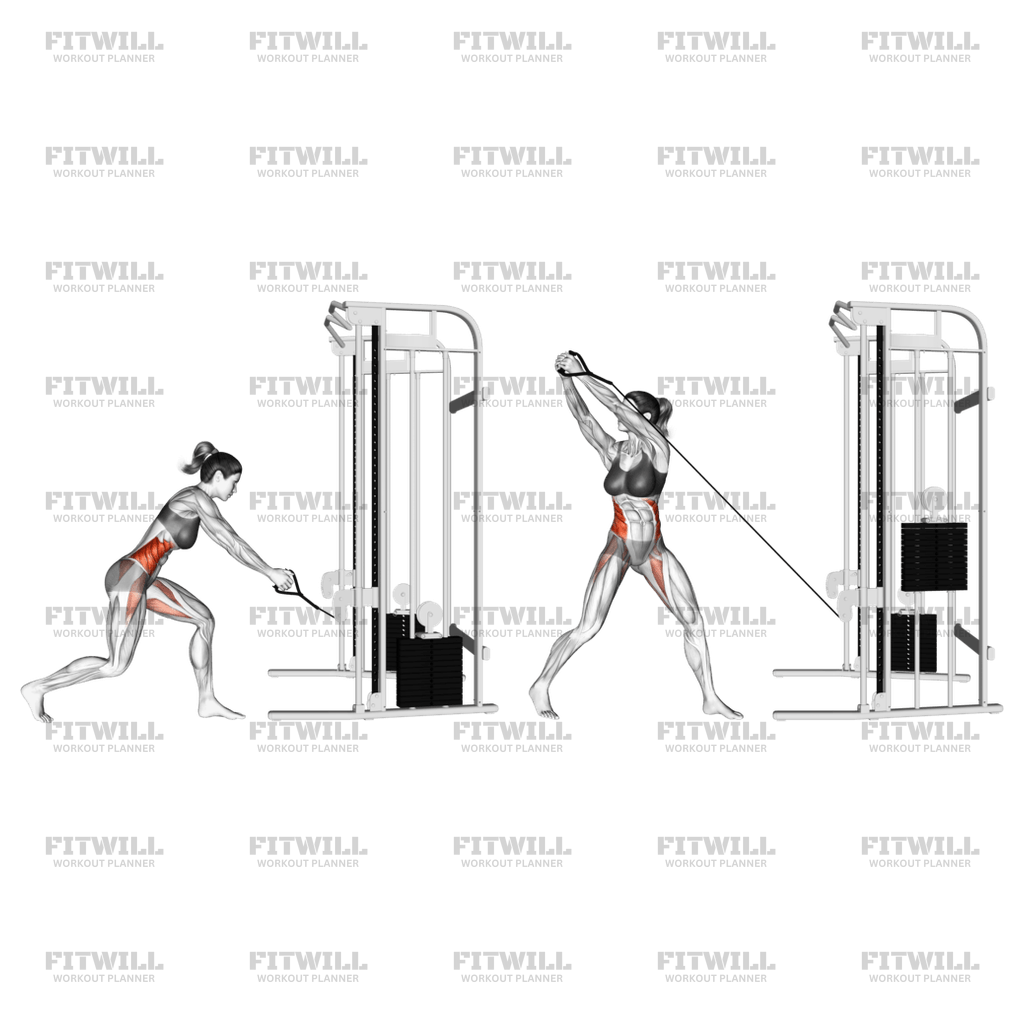 Cable Twist (down Up): Exercise Guide, Video, Techniques, Benefits, How ...