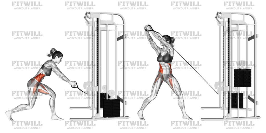 Cable Twist (down Up): Exercise Guide, Video, Techniques, Benefits, How ...