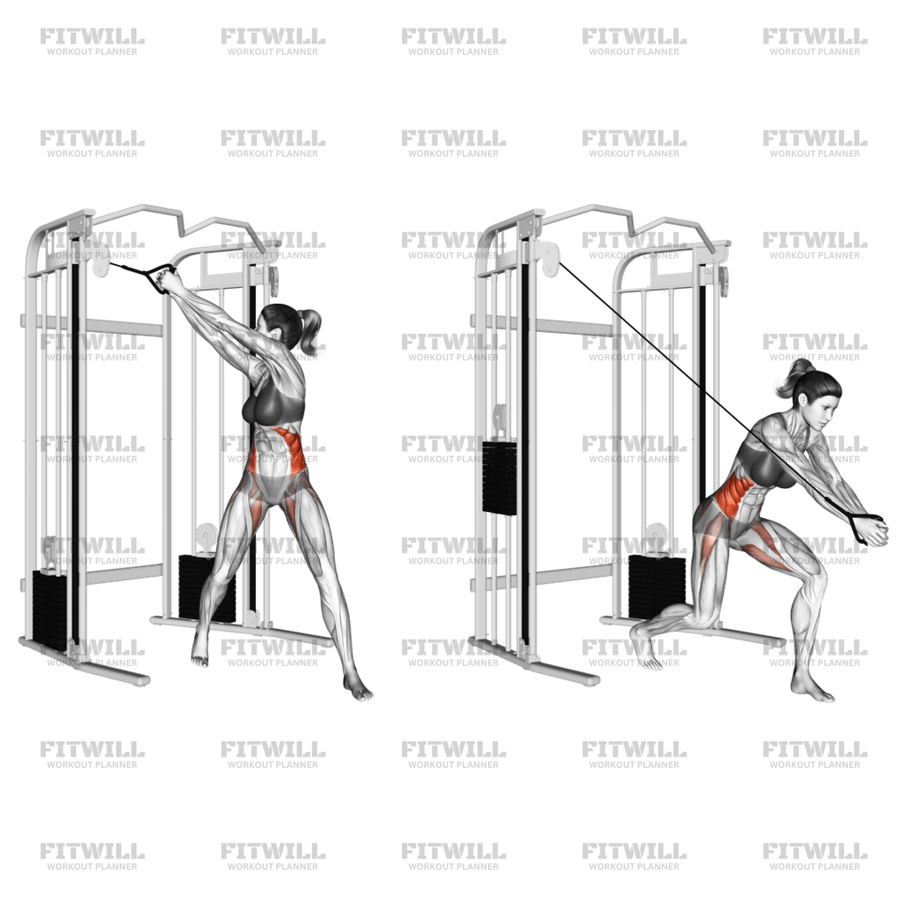 Cable Twist (up Down) Version 2: Exercise Guide, Video, Techniques ...