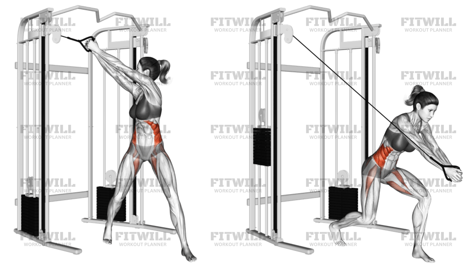 Cable Twist (up Down) Version 2: Exercise Guide, Video, Techniques ...