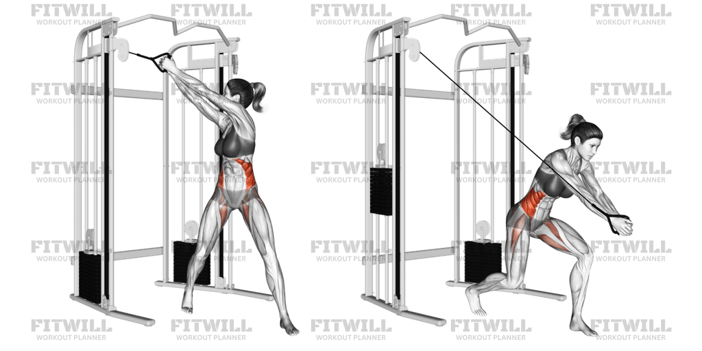 Cable Twist (up Down) Version 2: Exercise Guide, Video, Techniques ...