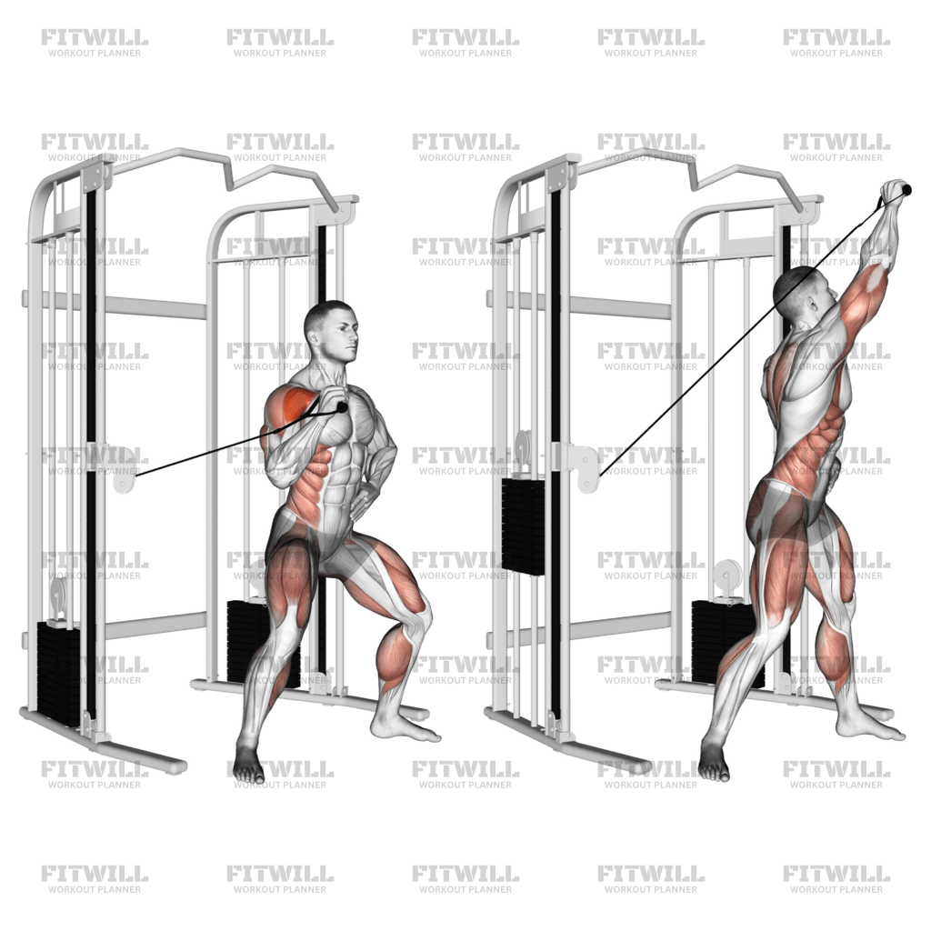 Cable Twisting Overhead Press: Exercise Guide, Video, Techniques ...