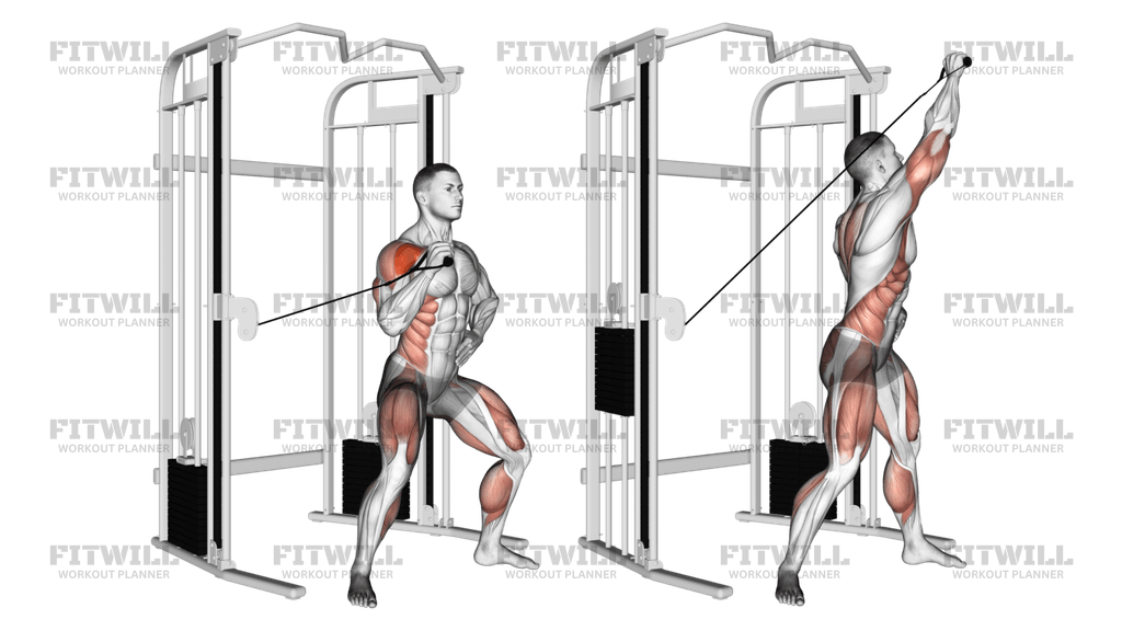 Cable Twisting Overhead Press: Exercise Guide, Video, Techniques ...
