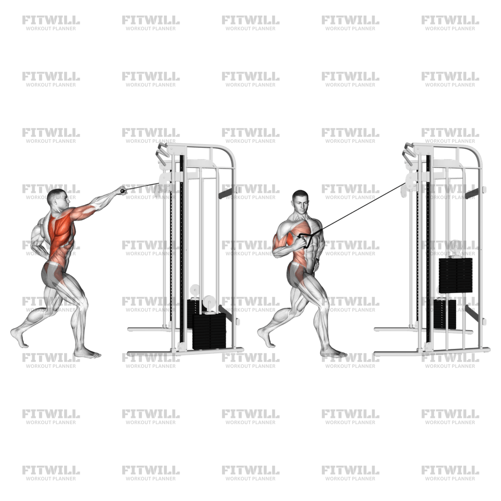 Cable Twisting Standing High Row: Exercise Guide, Techniques, Benefits ...