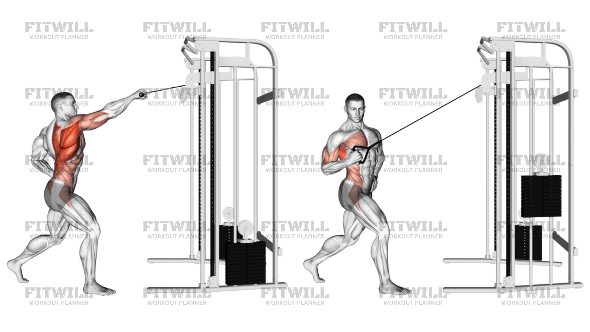 Cable Twisting Standing High Row: Exercise Guide, Techniques, Benefits ...