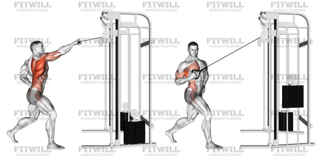 Cable Twisting Standing High Row: Exercise Guide, Techniques, Benefits ...
