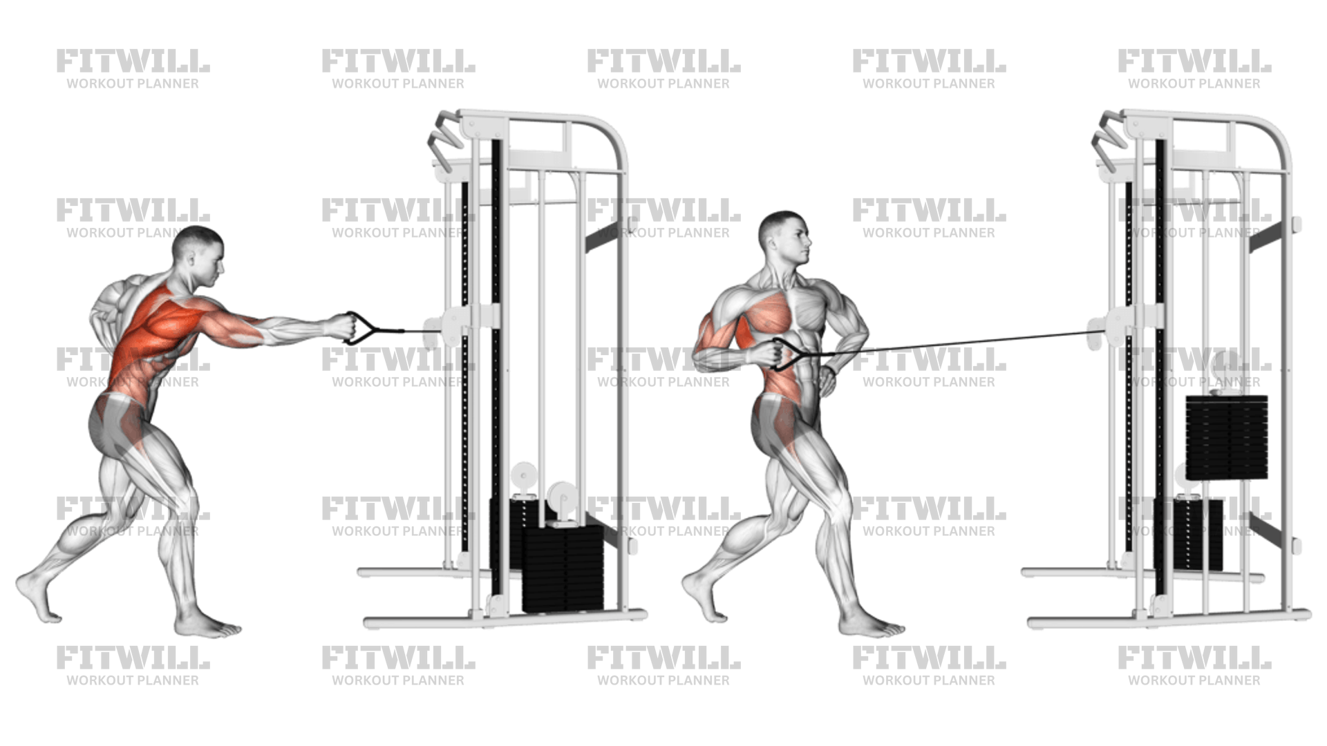 Cable Twisting Standing Row: Exercise Guide, Techniques, Benefits, How ...