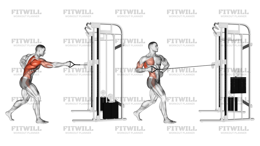 Cable Twisting Standing Row: Exercise Guide, Techniques, Benefits, How ...