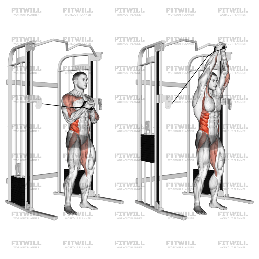 Cable Vertical Pallof Press: Exercise Guide, Techniques, Benefits, How ...