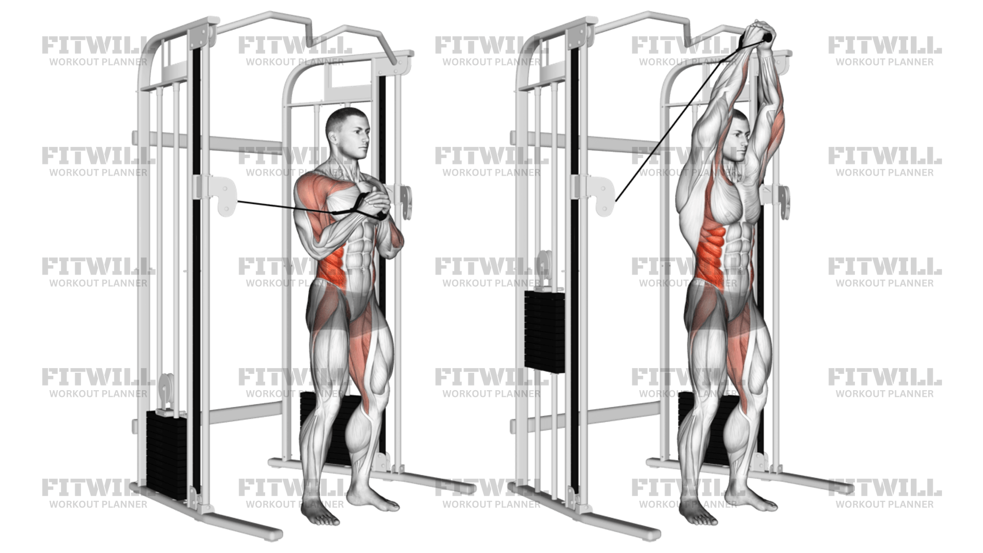 Cable Vertical Pallof Press: Exercise Guide, Techniques, Benefits, How ...