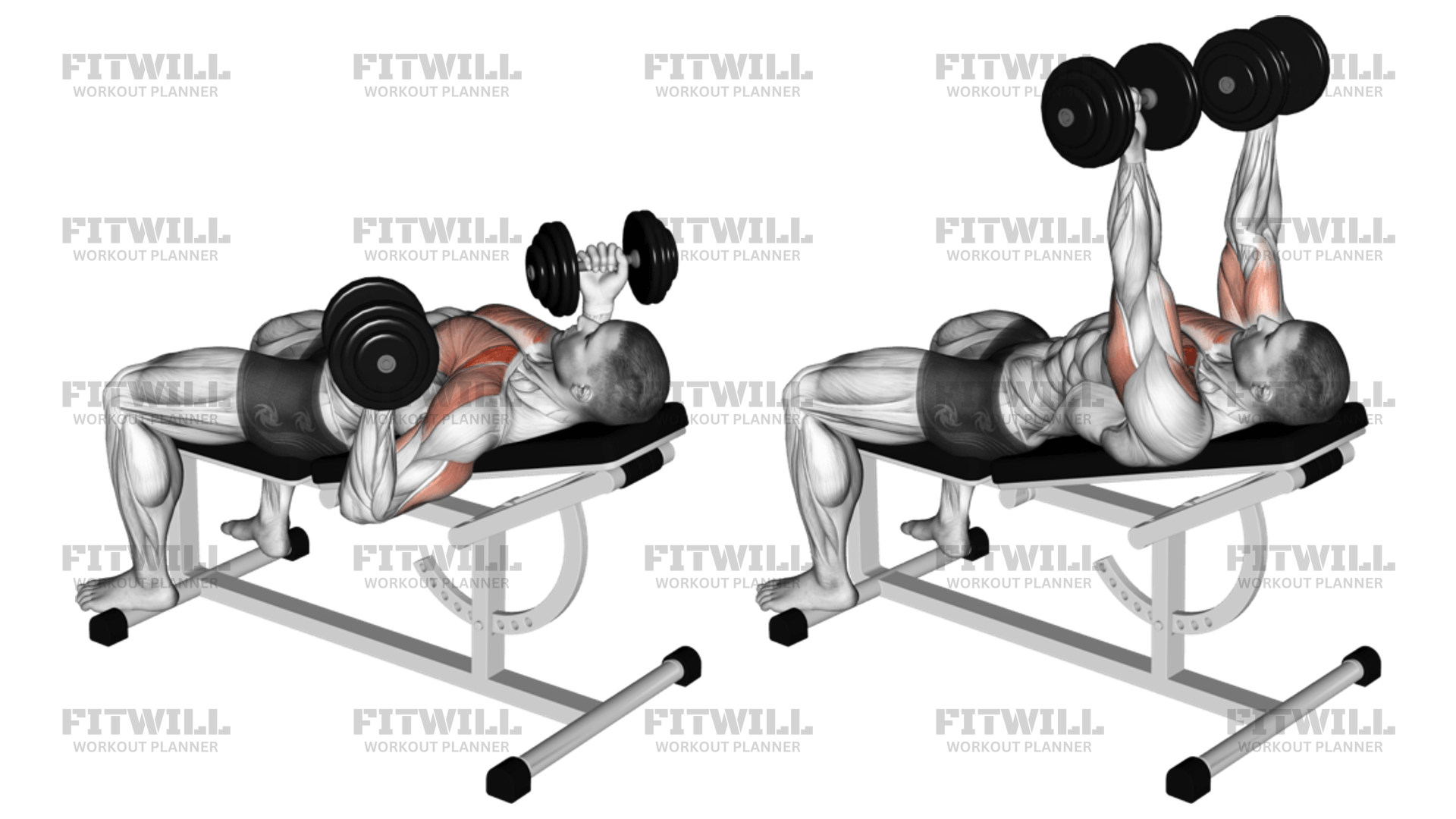 Dumbbell Incline Reverse-grip 30 Degrees Bench Press: Exercise Guide, Techniques, Benefits, How ...