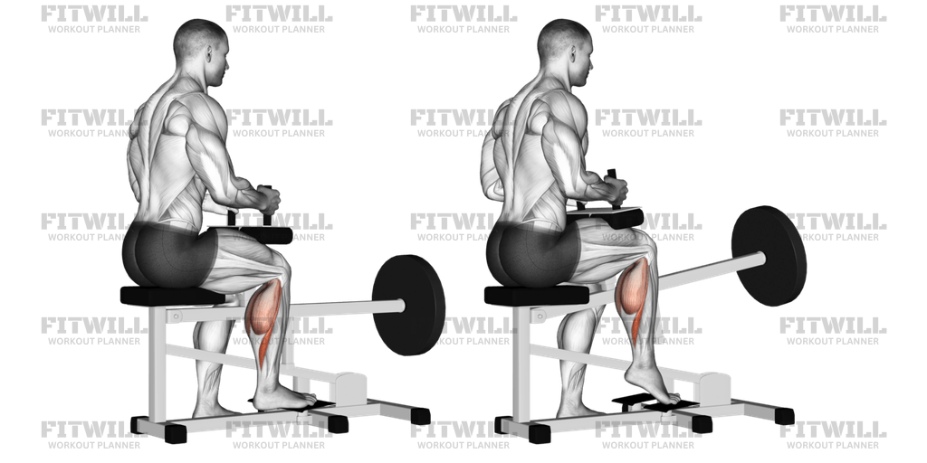 Lever Seated One Leg Calf Raise: Exercise Guide, Techniques, Benefits ...