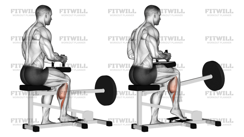 Lever Seated One Leg Calf Raise: Exercise Guide, Techniques, Benefits ...