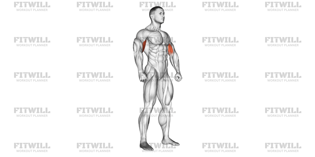 Body Muscle. Side Front View: Exercise Guide, Techniques, Benefits, How ...
