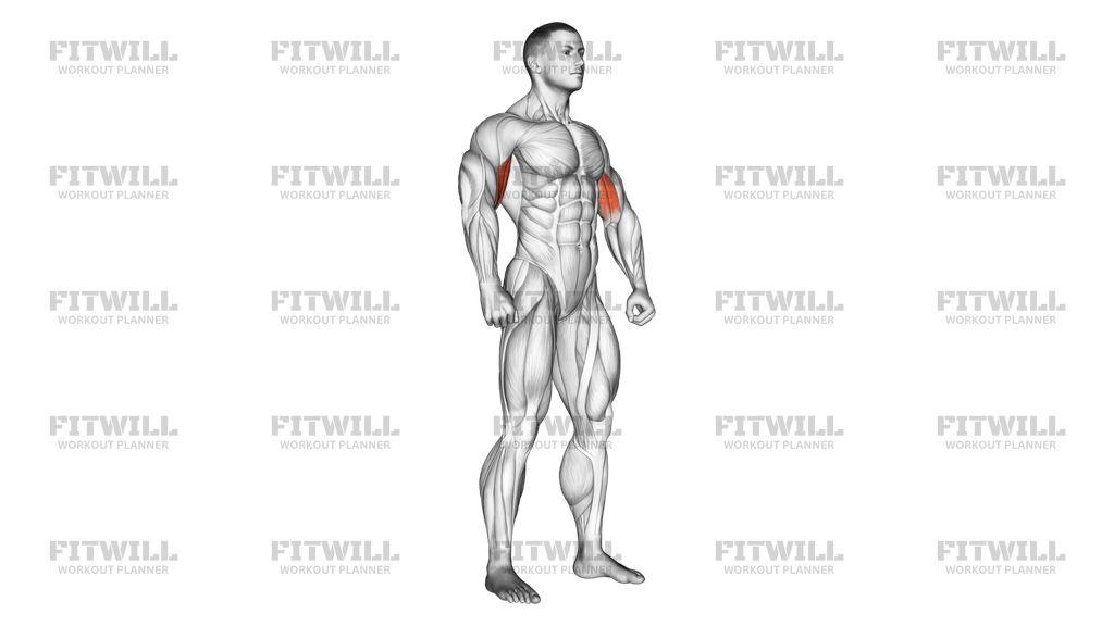 Body Muscle. Side Front View: Exercise Guide, Techniques, Benefits, How ...