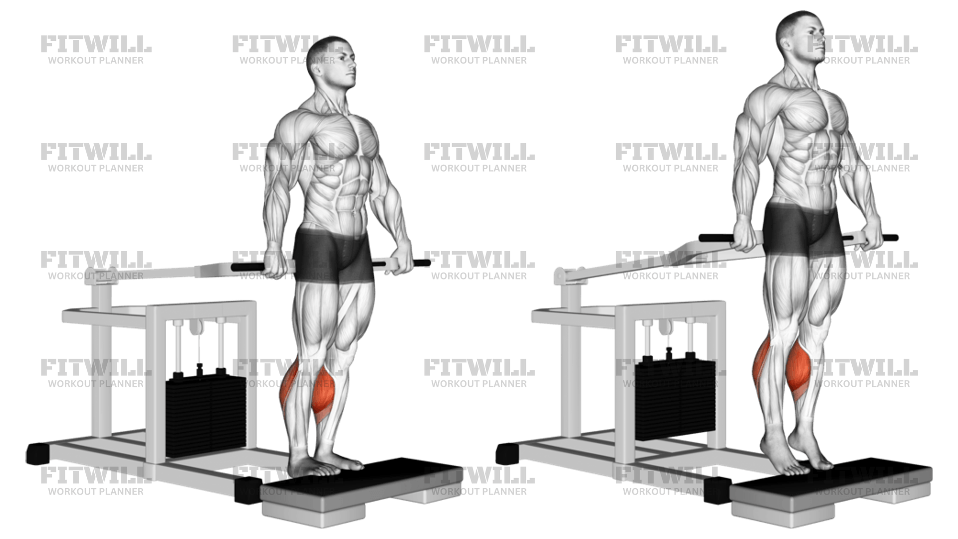 Lever Calf Raise (bench Press Machine): Exercise Guide, Techniques ...