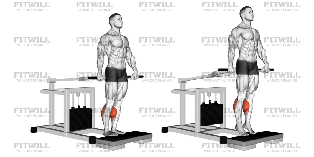 Lever Calf Raise (bench Press Machine): Exercise Guide, Techniques ...