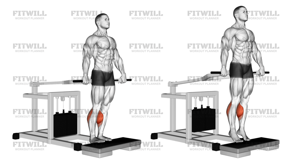Lever Calf Raise (bench Press Machine): Exercise Guide, Techniques ...