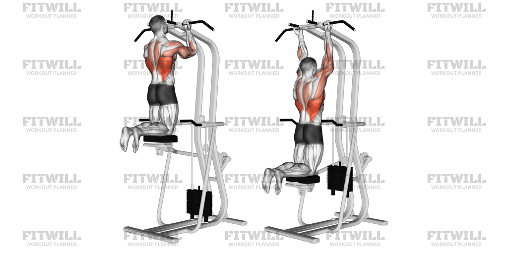 Puxada Assistida Com Pegada Fechada E Supinada: Guia de Exercícios ...