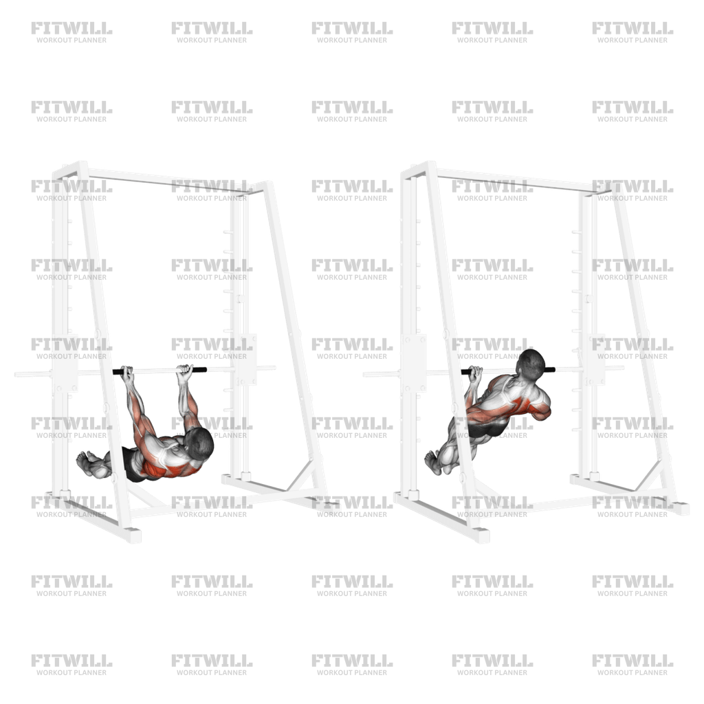 Underhand-Grip Inverted Back Row: Exercise Video | Fitwill