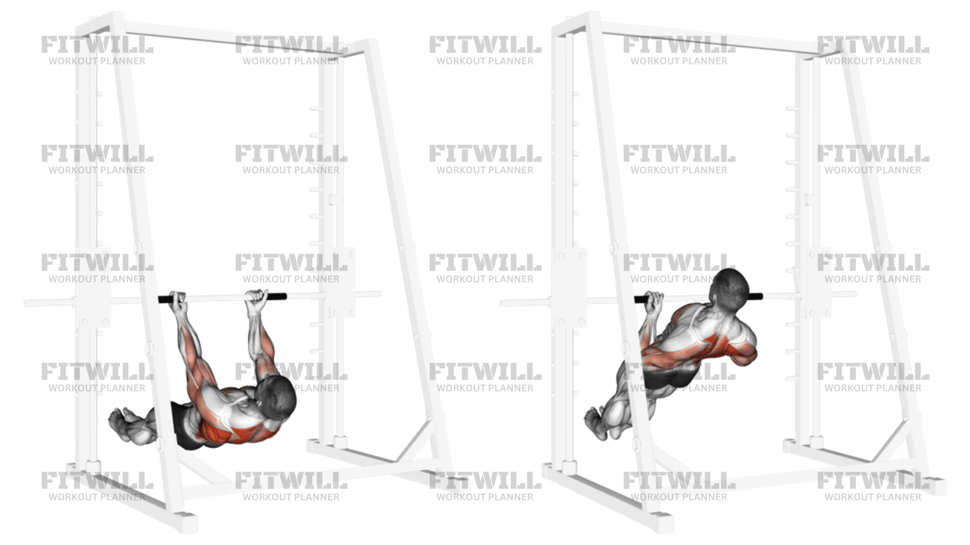 Underhand-Grip Inverted Back Row: Exercise Video | Fitwill