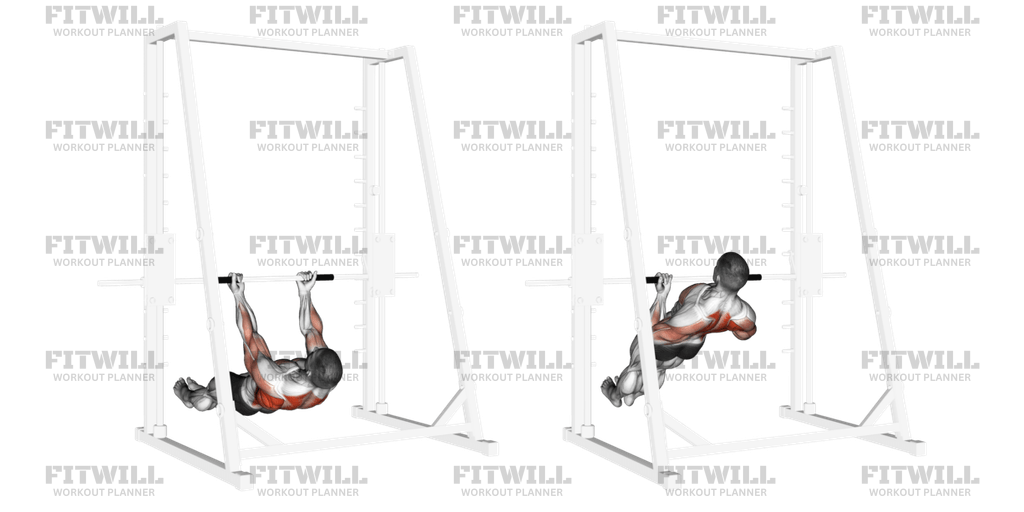 Underhand-Grip Inverted Back Row: Exercise Video | Fitwill