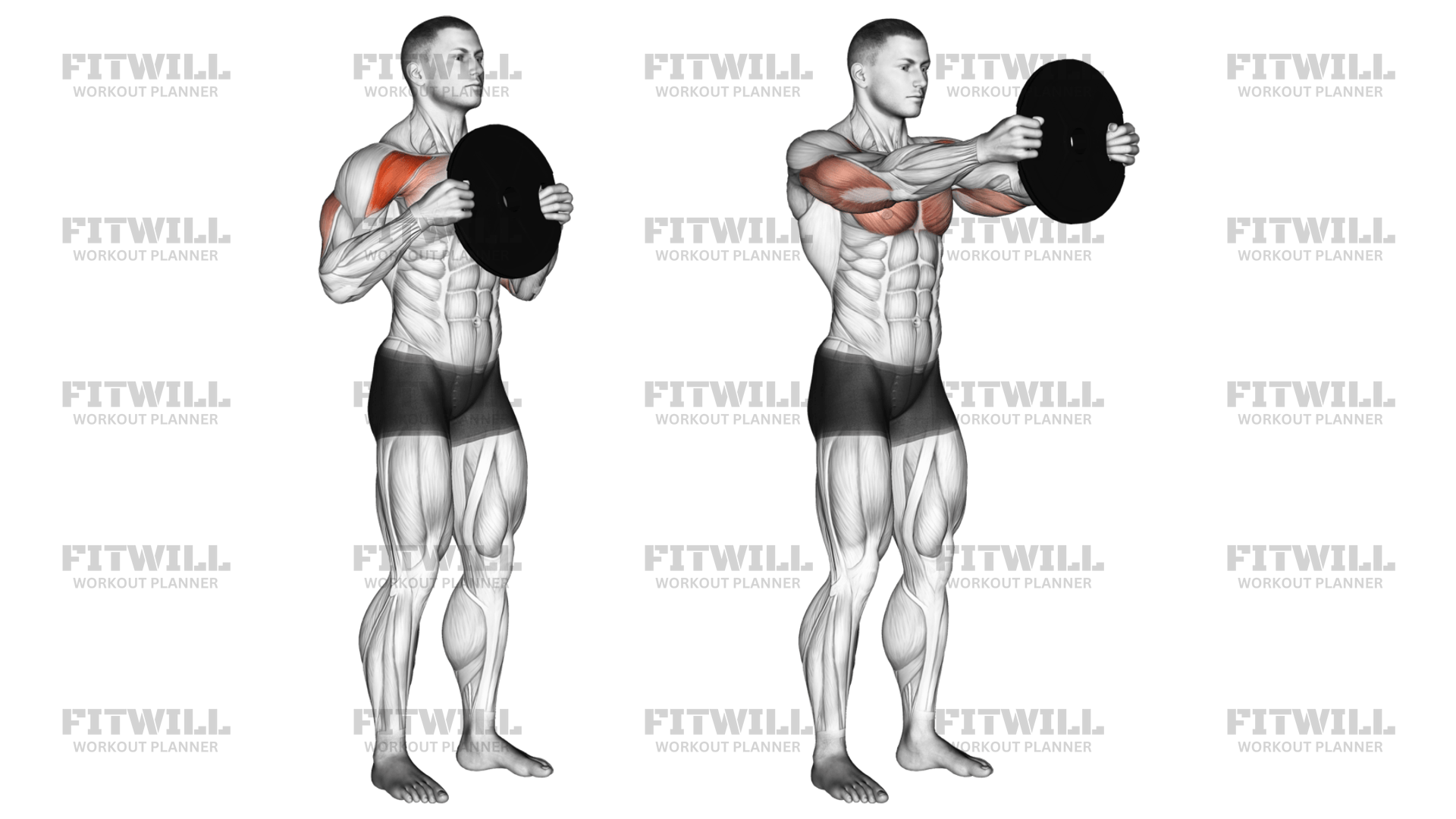 Standing Plate Presses: Exercise Guide, Video, Techniques, Benefits ...