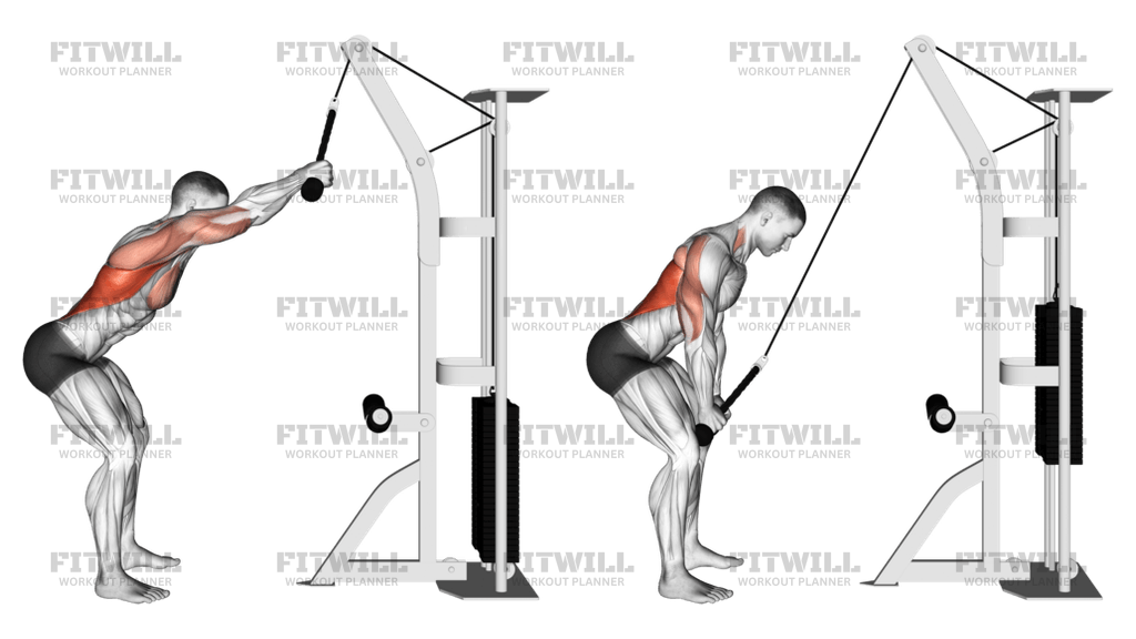 Cable Rope Standing Lat Pushdown: Exercise Guide, Video, Techniques ...