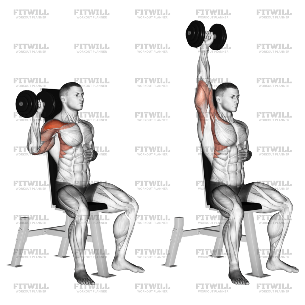 Dumbbell Seated One Arm Shoulder Press: Exercise Guide, Techniques ...